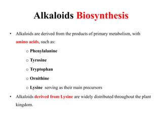 lecture note Biosynthesis of Alkaloid.pptx