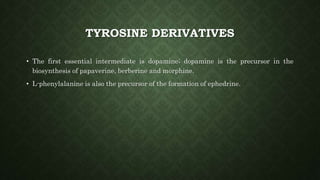 Biosynthesis of Alkaloids.pptx