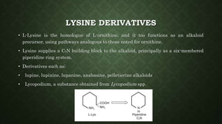 Biosynthesis of Alkaloids.pptx