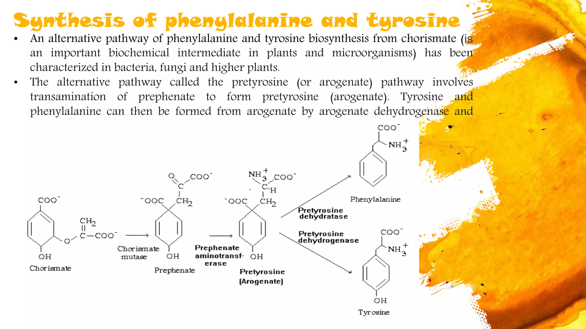 Biosynthesis Of Amino Acid Essential And Non Essential Ppt