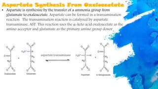 Biosynthesis of amino acid (essential and non essential) | PDF