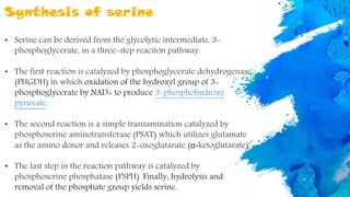 Biosynthesis of amino acid (essential and non essential) | PDF