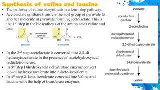 Biosynthesis of amino acid (essential and non essential) | PDF