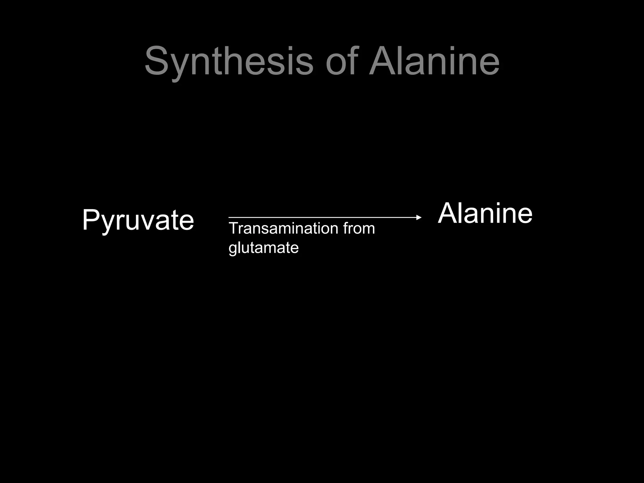 Biosynthesis of amino acids | PPT