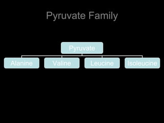 Biosynthesis of amino acids | PPT