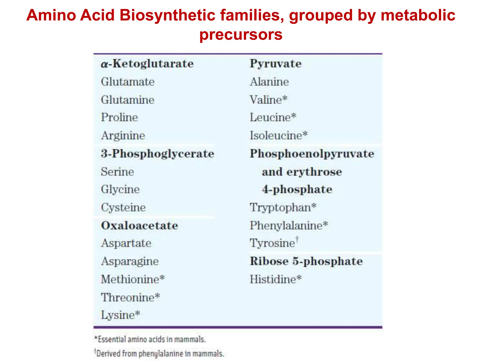 Biosynthesis of different types of amino acids.pptx