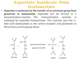 Biosynthesis of different types of amino acids.pptx