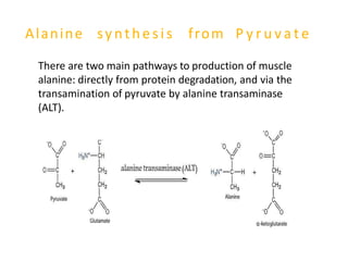 Biosynthesis of different types of amino acids.pptx