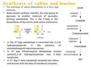Biosynthesis of different types of amino acids.pptx