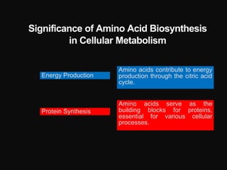 Biosynthesis of different types of amino acids.pptx