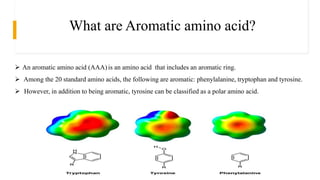 Biosynthesis of aromatic amino acid | PPTX | Chemistry | Science