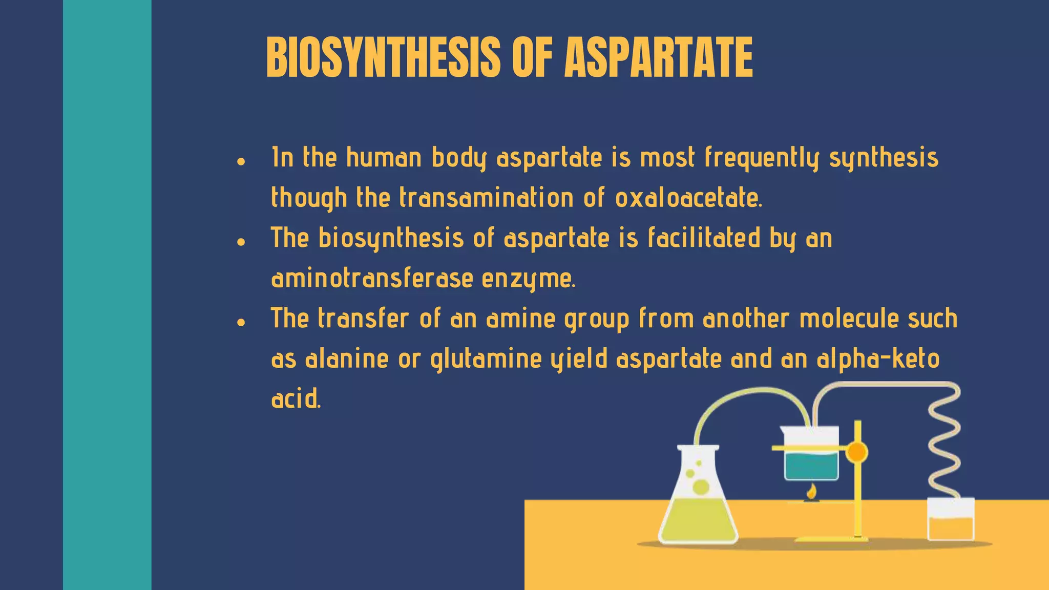 Biosynthesis of aspartate | PPTX