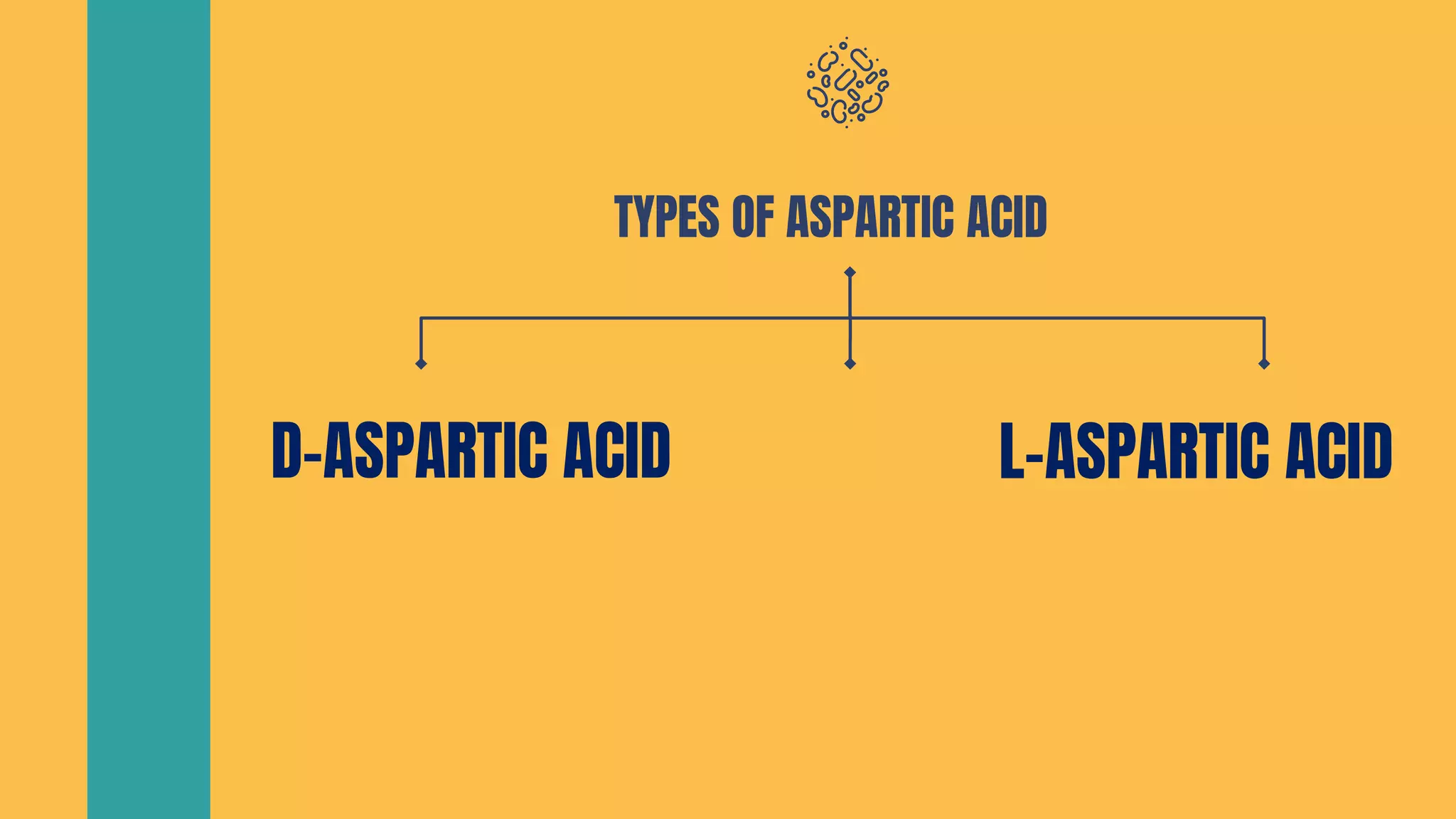 Biosynthesis of aspartate | PPTX