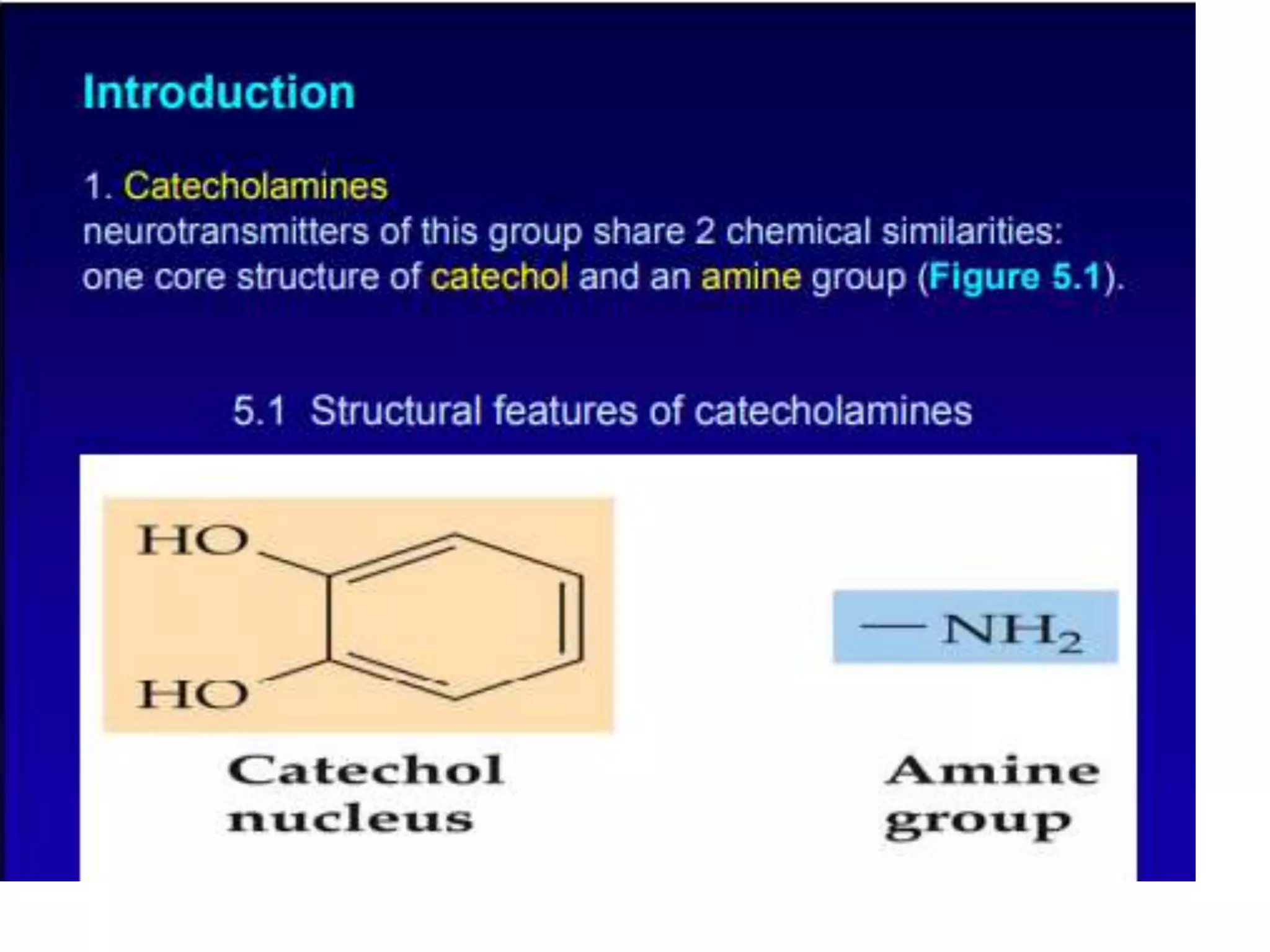 Biosynthesis of catecholamines | PPTX