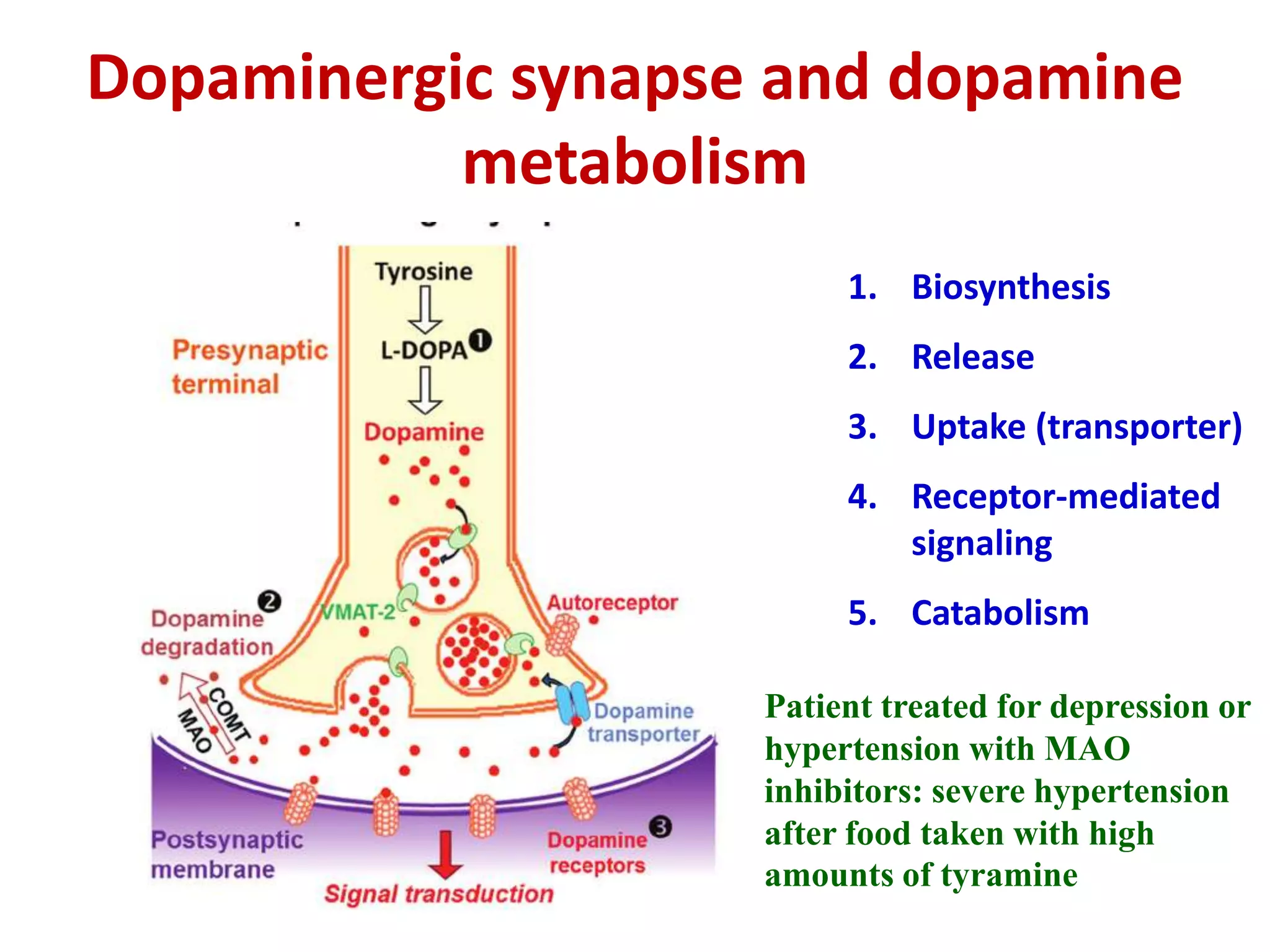 Biosynthesis of catecholamines | PPTX