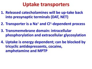 Biosynthesis of catecholamines | PPTX