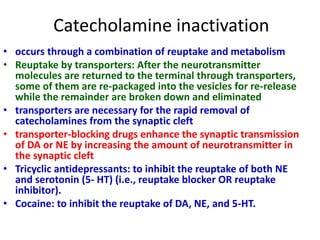 Biosynthesis of catecholamines | PPTX