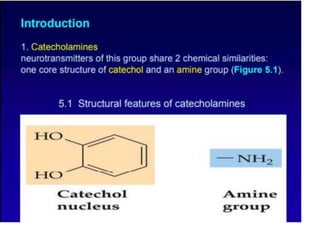 Biosynthesis of catecholamines | PPTX