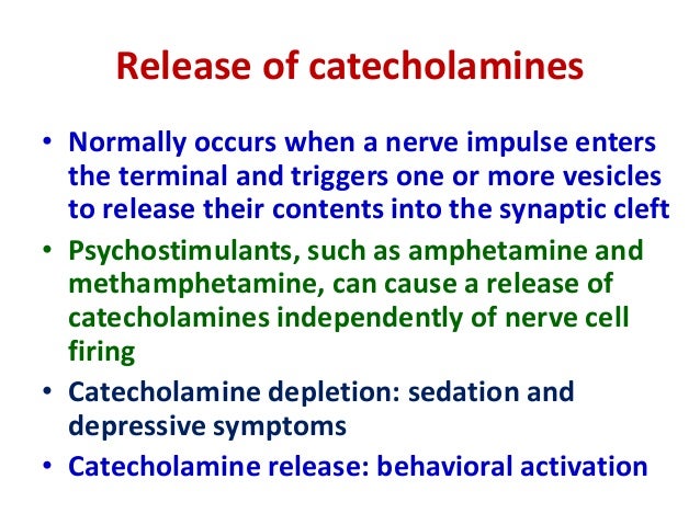 Biosynthesis of catecholamines