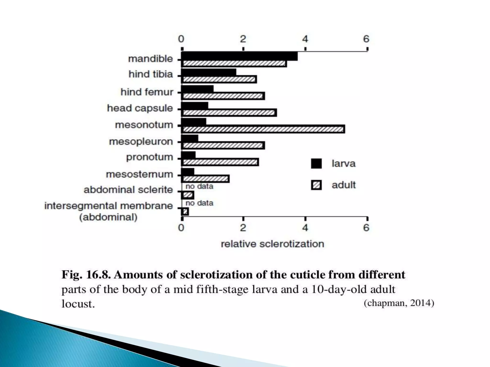 Biosynthesis of Chitin | PPTX