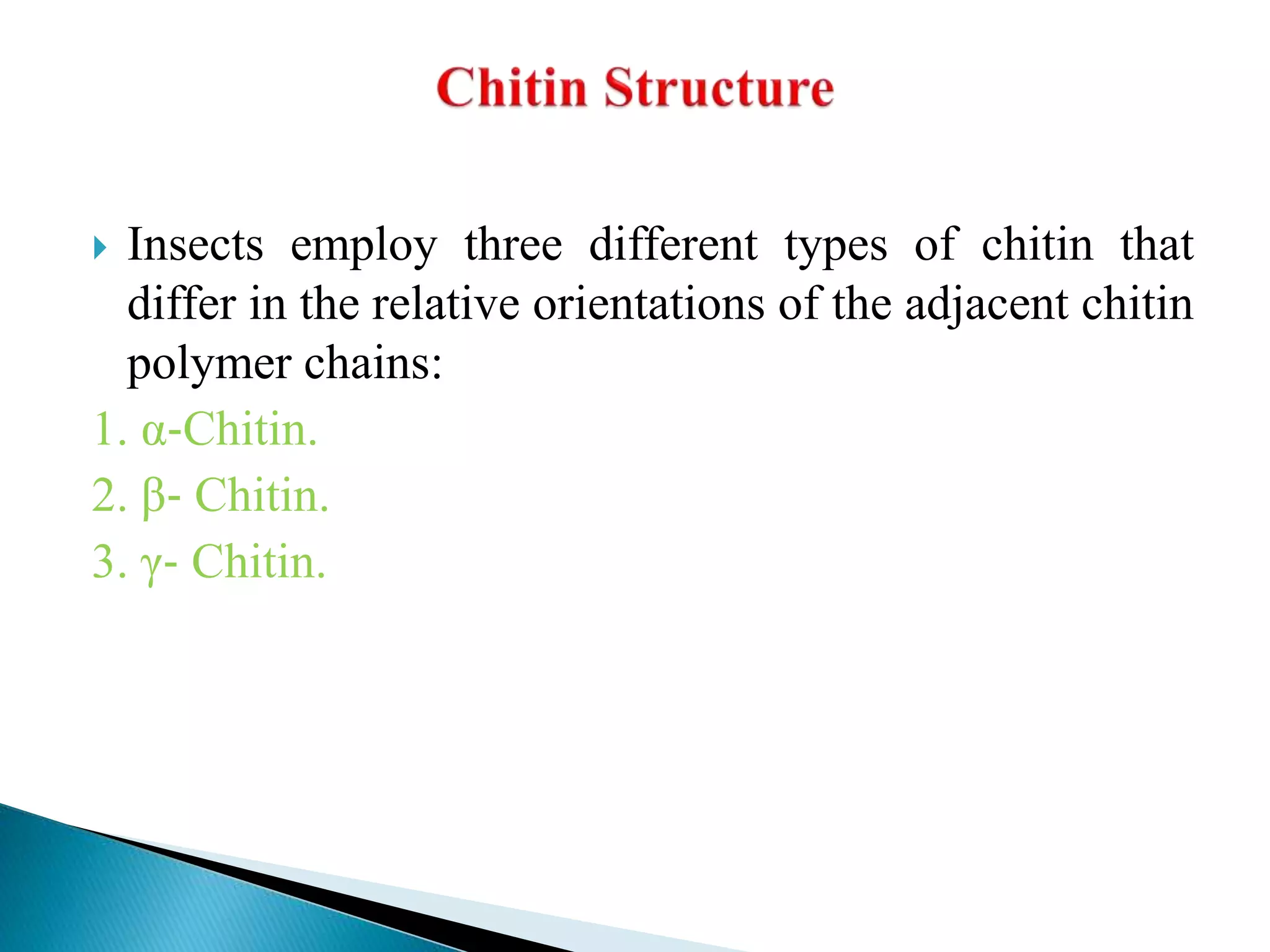 Biosynthesis of Chitin | PPTX