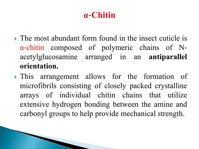 Biosynthesis of Chitin | PPTX