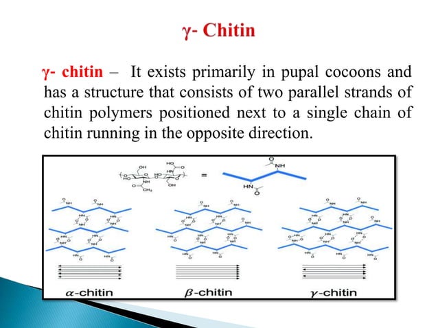 Biosynthesis of Chitin | PPTX