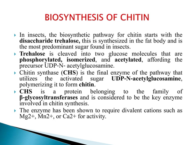 Biosynthesis of Chitin | PPTX