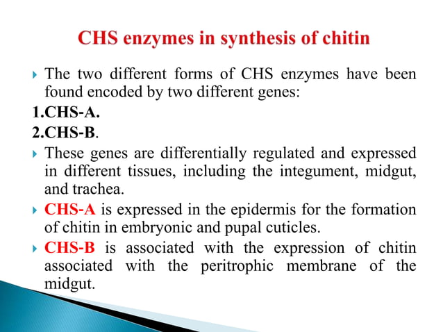 Biosynthesis of Chitin | PPTX