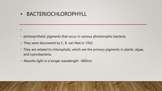 biosynthesis of chlorophyll.pptx