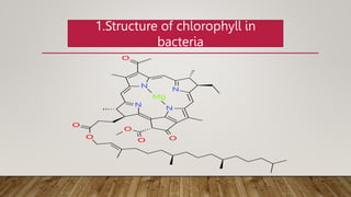 biosynthesis of chlorophyll.pptx