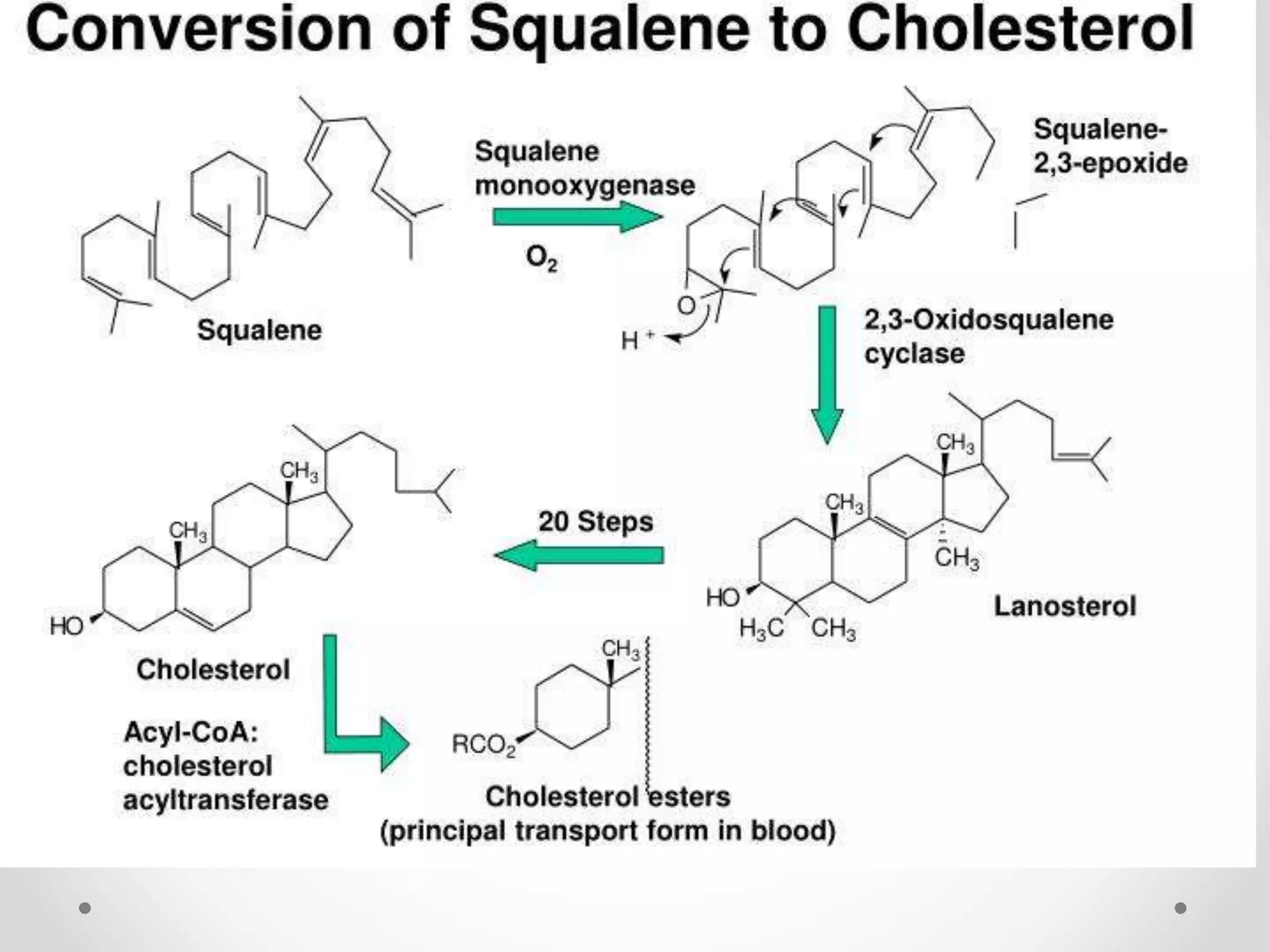 Biosynthesis of cholesterol | PPTX