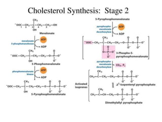 Biosynthesis of cholesterol | PPTX