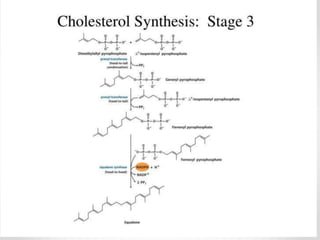 Biosynthesis of cholesterol | PPTX