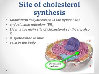 Biosynthesis of cholesterol | PPTX