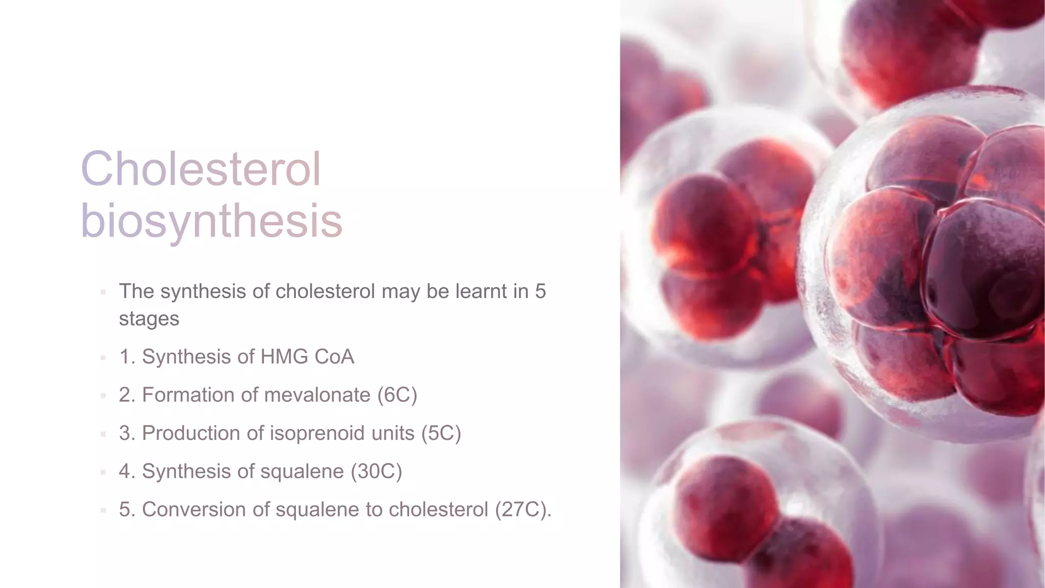 Biosynthesis of cholesterol | PPTX