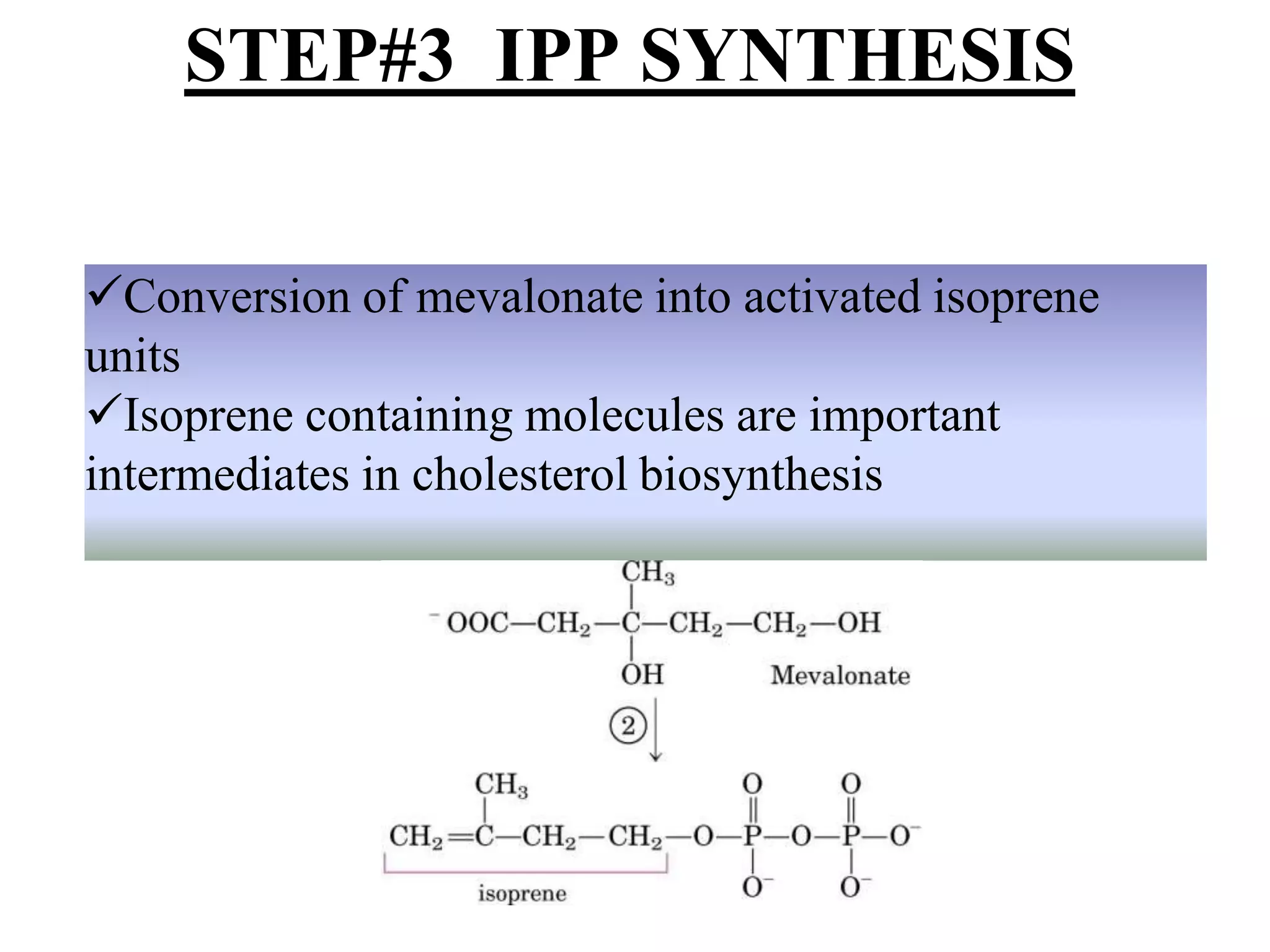 BIOSYNTHESIS OF CHOLESTEROL | PPTX