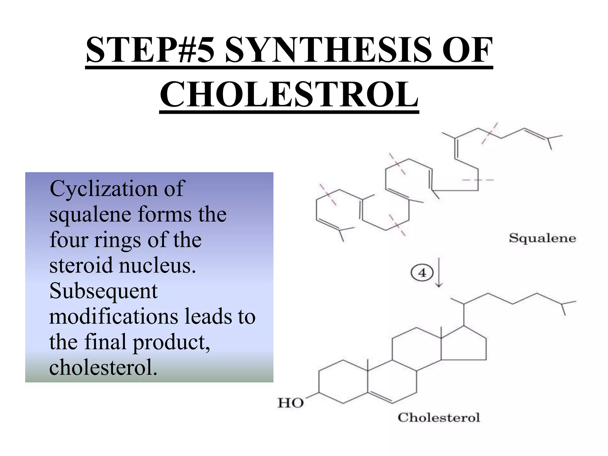 BIOSYNTHESIS OF CHOLESTEROL | PPTX