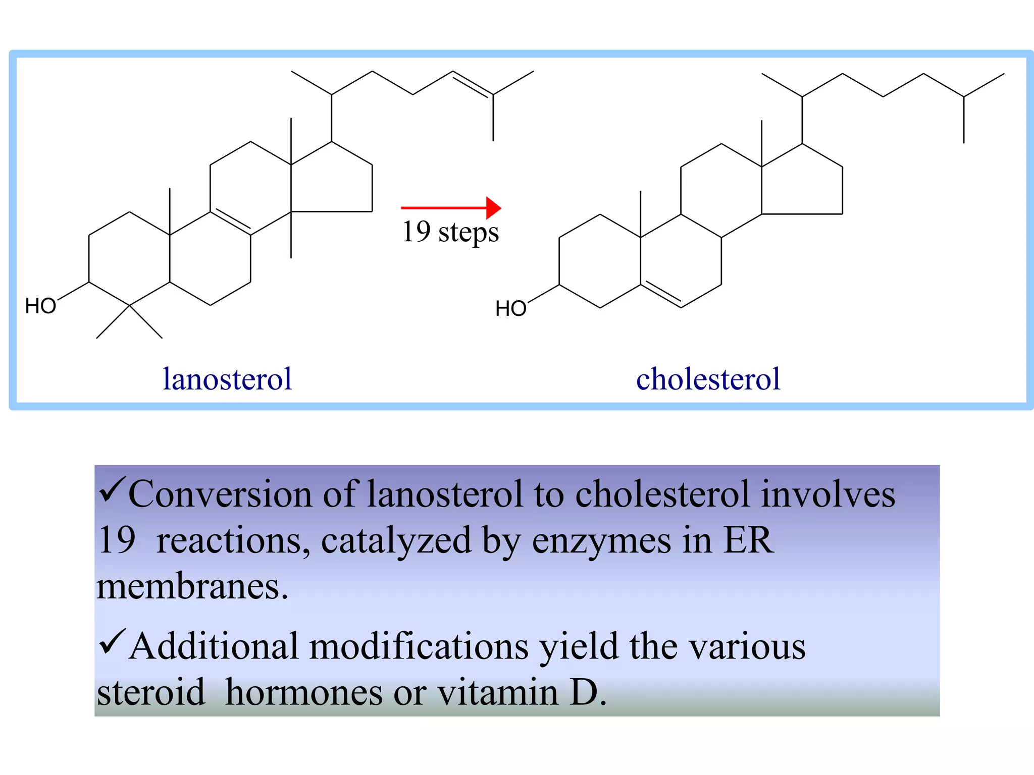 BIOSYNTHESIS OF CHOLESTEROL | PPTX