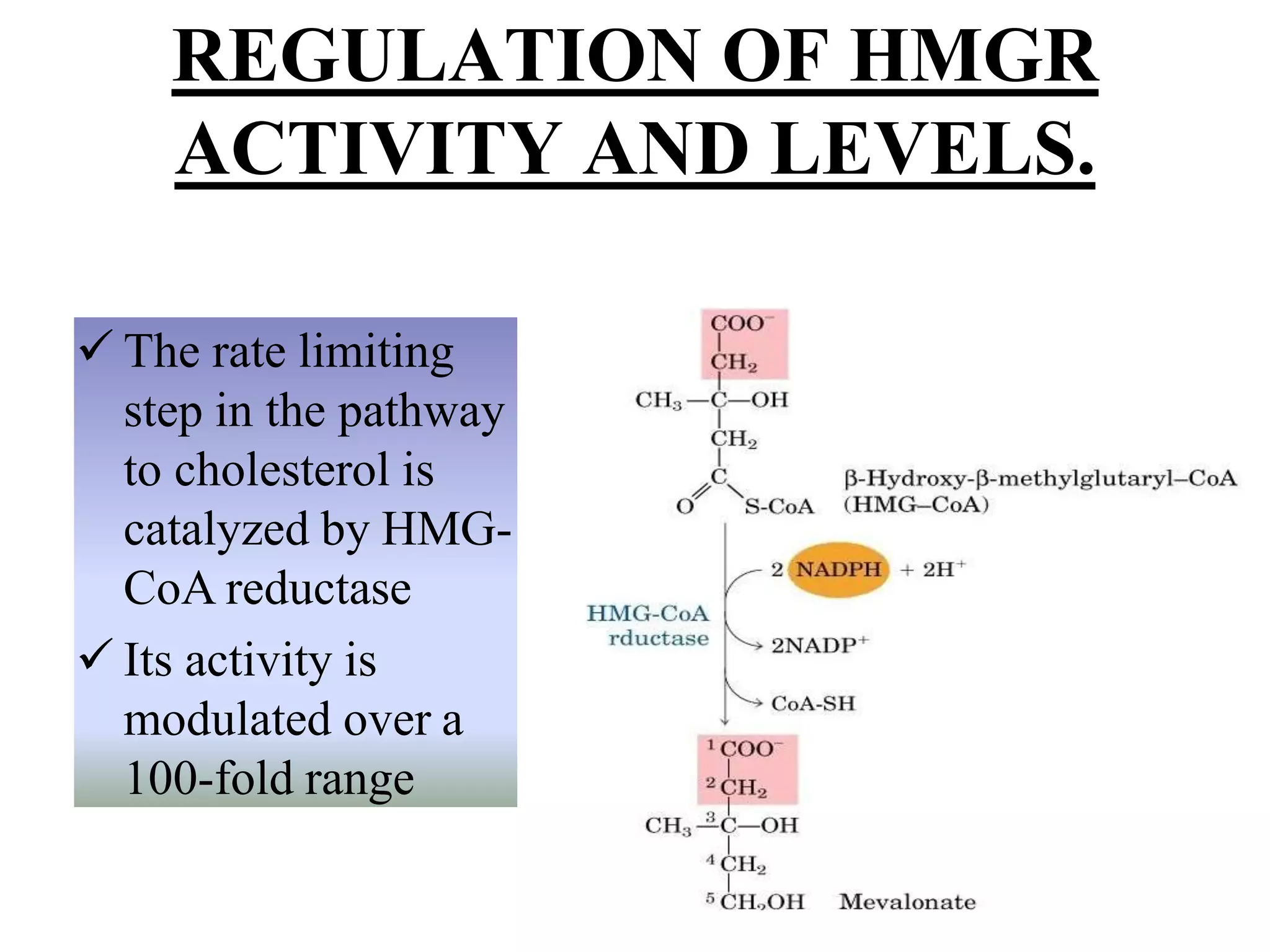 BIOSYNTHESIS OF CHOLESTEROL | PPTX