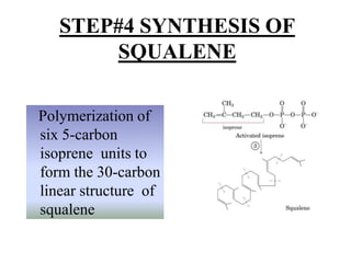 BIOSYNTHESIS OF CHOLESTEROL | PPTX