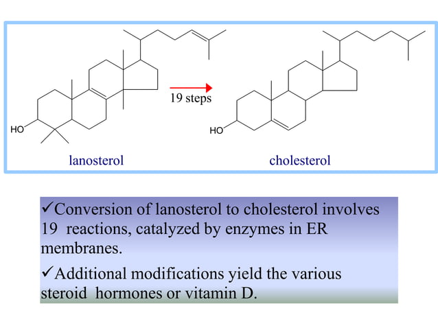 BIOSYNTHESIS OF CHOLESTEROL | PPTX | Chemistry | Science