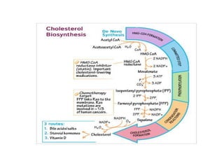 BIOSYNTHESIS OF CHOLESTEROL | PPTX
