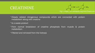 Biosynthesis of Creatine - For B.Sc. Medical Laboratory Technology | PPTX
