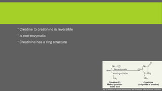 Biosynthesis of Creatine - For B.Sc. Medical Laboratory Technology | PPTX