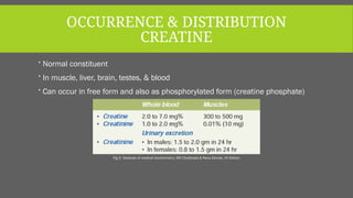 Biosynthesis of Creatine - For B.Sc. Medical Laboratory Technology | PPTX