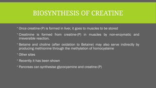 Biosynthesis of Creatine - For B.Sc. Medical Laboratory Technology | PPTX