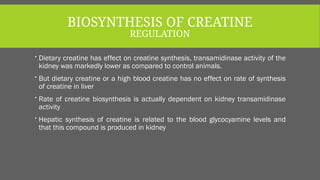 Biosynthesis of Creatine - For B.Sc. Medical Laboratory Technology | PPTX