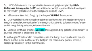 Biosynthesis of disaccharides (kailash) | PPTX