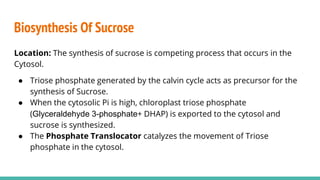 Biosynthesis of disaccharides (kailash) | PPTX
